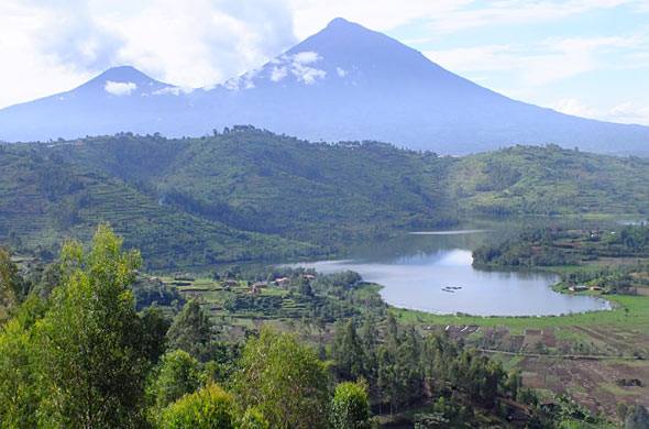 Musanze Rwanda | Gorilla trekking, Wildlife safaris, Rwenzori mountains ...