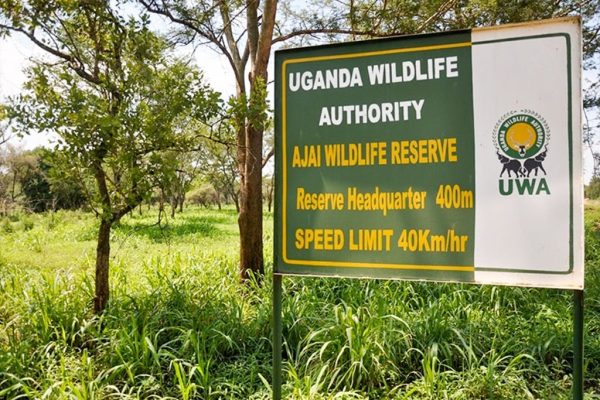 Ajai Wildlife Reserve | Gorilla trekking, Wildlife safaris, Rwenzori ...